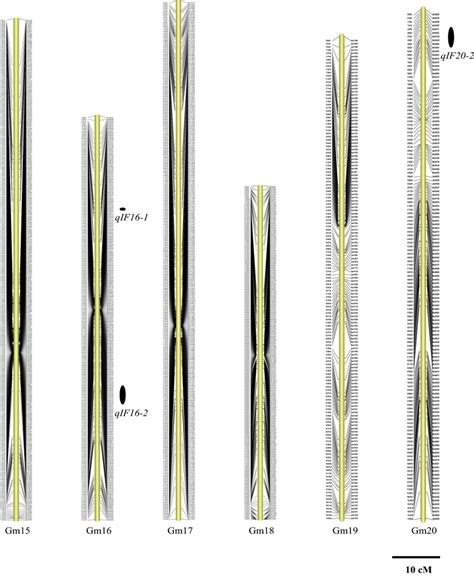 The Soybean High Density Genetic Map Linkage Groups Gm15 Gm20 The Download Scientific Diagram