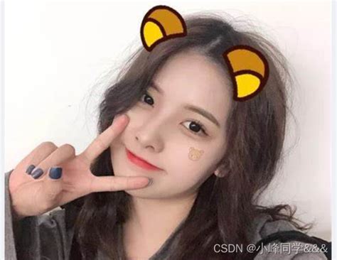 【linux】shell命令以及运行原理和linux权限详解linux默认shell解释 Csdn博客