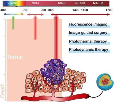 Theranostic Nanoprobes With Aggregation Induced Nir Ii Emission From Molecular Design To
