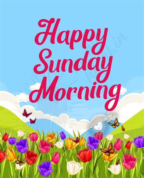💖 Happy Sunday Morning Images And Quotes For Free