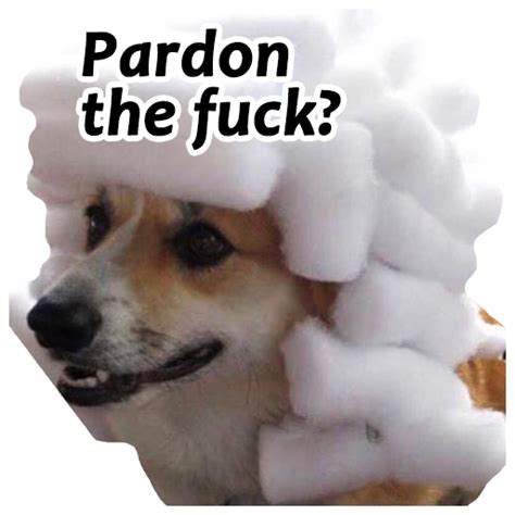 Pardonthefuckcorgimeme Discord Sticker