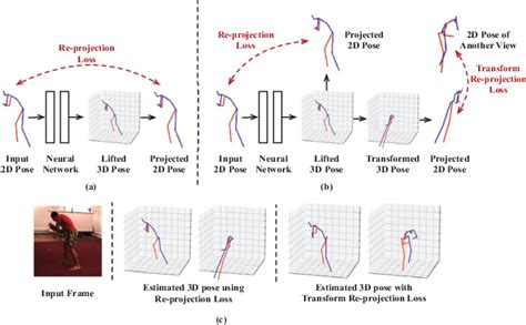 Figure From Geometry Driven Self Supervised Method For D Human Pose Estimation Semantic Scholar