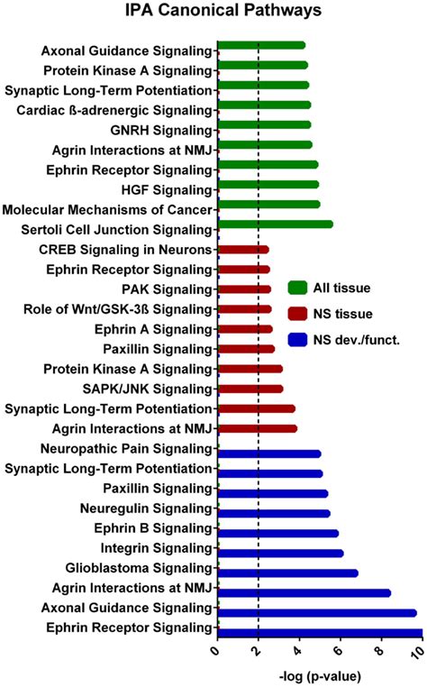 Ipa Canonical Pathway Analyses From Each Tier Of Core Analysis The X
