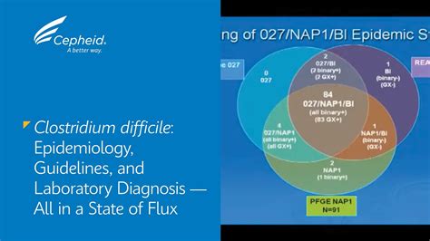 The C Diff Testing Algorithm A Clinicians Ultimate Guide Wiki