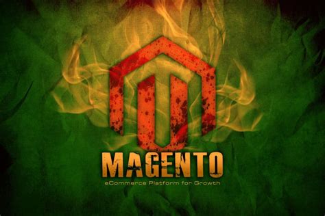 Magento Expert For Programming And Designing