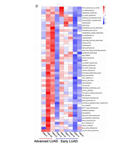 百篇文献汇总精华！单细胞高级分析（六） 信号通路富集分析 上海生物芯片有限公司