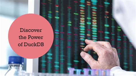 Still Searching For The Perfect Duckdb Use Case Your Answer Is Here