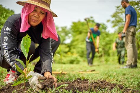 Help Fight Climate Change Plant Trees Bunkers Barcelona