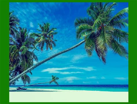 The Evolution Of Barcode Design Barcode Technology And Barcode Software