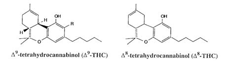 Delta 8 Thc Scientists Explain The Cannabis Industrys Latest Hype