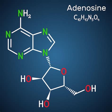 Nucleoside Structure Nucleoside Mimetics Enamine