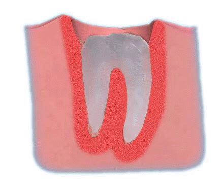 M J Linehan And Associates Home Page Website