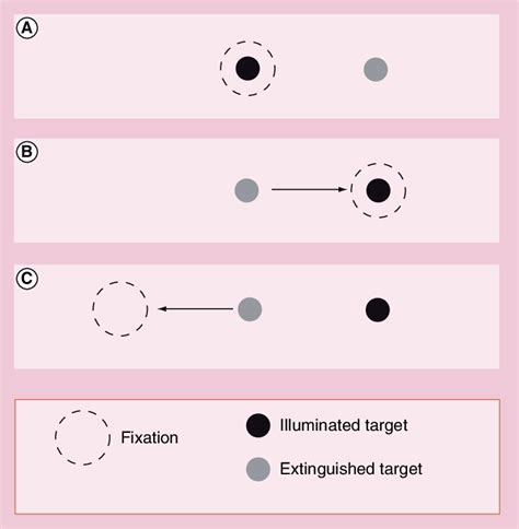 Two Types Of Saccadic Eye Movement The Patient Is Initially Asked To