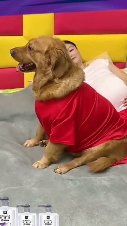 I Am Really Happy To Have You With Me To Record My Real Life Beautiful Couples Youtube