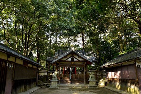 水聖さんの旅路2023年10月4日 尼ヶ辻～新大宮 28 佐紀神社