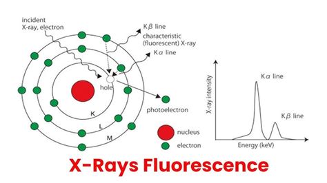 Xrf X Ray Fluorescence Analysis 40 Off Brunofuga Adv Br