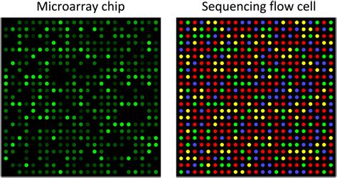 Microarray And Sequencing Flow Cell Microarrays And RNA Sequencing Download Scientific Diagram