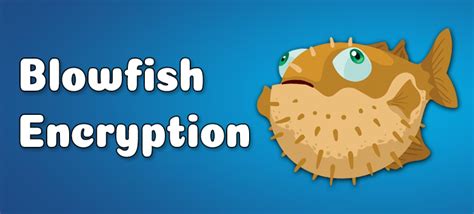 How Does Rsa Encryption Work Fundamentals Current Breakability And