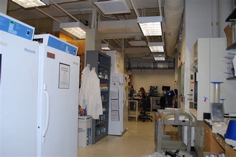 andersen lab our lab