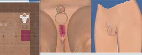 Idea Request New Gender Options Oblivion Adult Mods Loverslab