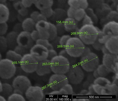 Scanning Electron Micrographs Of Titanium Oxide Nanocontainers Download Scientific Diagram