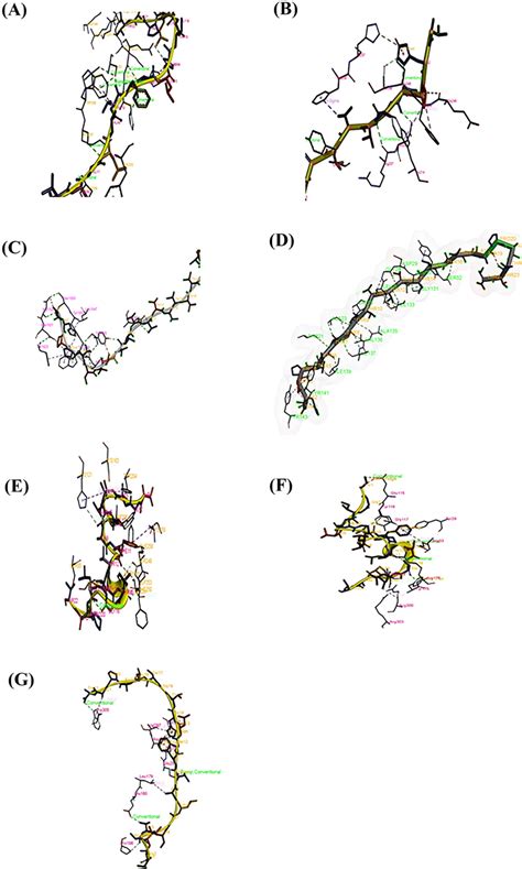 Peptide Protein Docking 3d Model By Using Zdock A Atmp2 Bax Docking Download Scientific