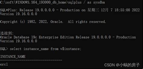 Windows Server 2019安装oracle 19c单机数据库【图文详解】winserver2019安装oracle19c Csdn博客