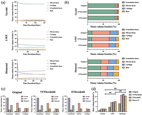 Effect Of Structure On Osteogenesis Of Bone Scaffold Simulation