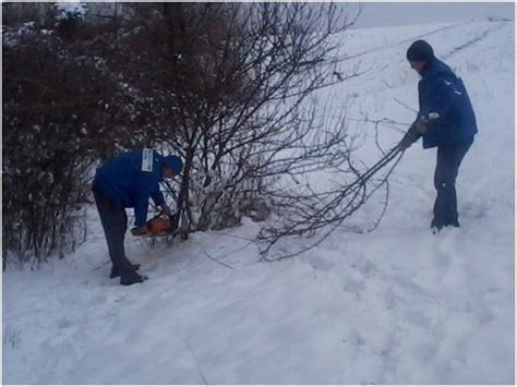 Виконання доглядових робіт Виноградівським МУВГ « Басейнове управління водних ресурсів річки Тиса
