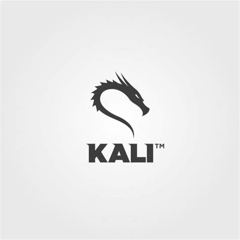 Kali Linux And System Security Analysis