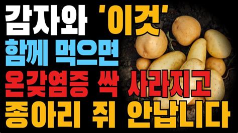 노년기 건강을 위해 감자 꼭 이렇게 드세요 무릎 통증 싹 사라지고 종아리쥐 다리쥐 안옵니다 몸속 온갖 염증 없어지고 고혈압 혈당 낮추고 다리 근육 짱짱해집니다