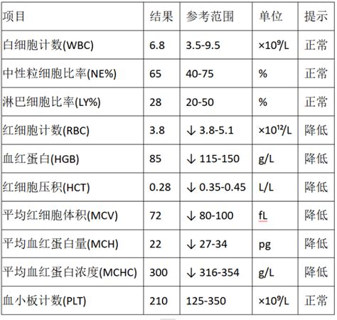 血常规报告单里的 红白密码”：医生教你看懂身体的求救信号