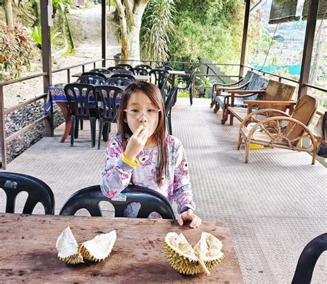 Adeline Villa Gopeng One Night Is Not Enough My Chirpy Life