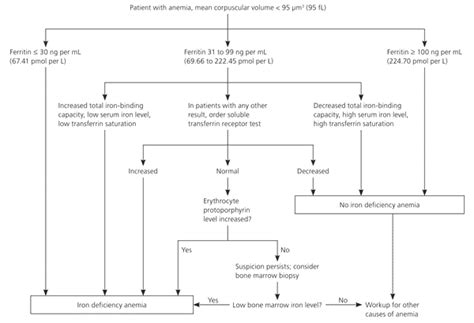 Diagnostic Algorithm For Iron Deficiency Anemia Download Scientific