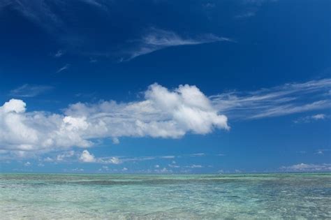 度付水中メガネで快適な夏を メガネハット株式会社アーバン