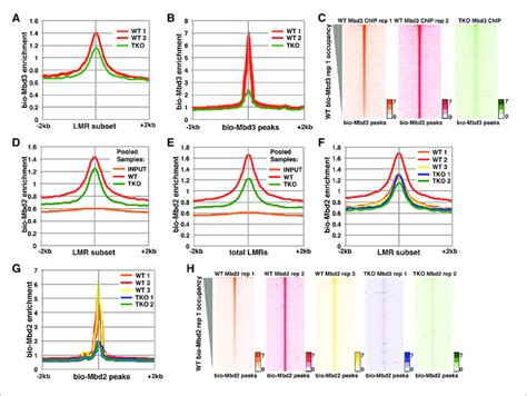 Analysis Of Bio Mbd3 And Bio Mbd2 Chip Seq Datasets Reveals