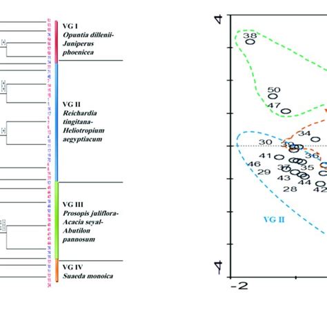 A Multivariate Analysis Of The 58 Sampling Stands By Twinspan Download Scientific Diagram