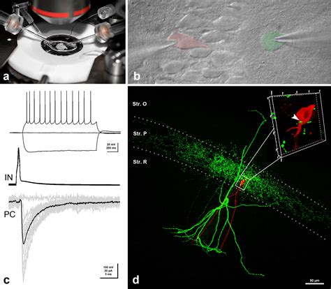 Methods Katonalab