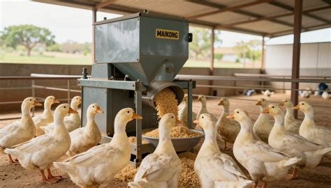 Feed Pelletizer Machine For Duck And Goose Feed Maikong