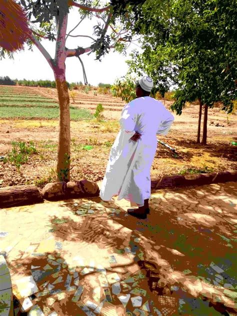 ازرع شجرة Khartoum