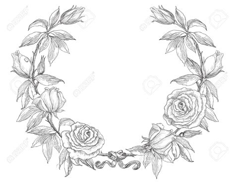 Rose Border Drawing At Getdrawings Free Download