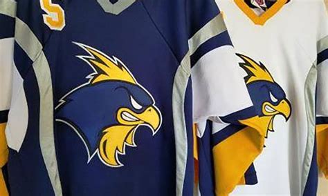 Delaware Hockey Network Your Home For Ud Salesianum And Jr Blue