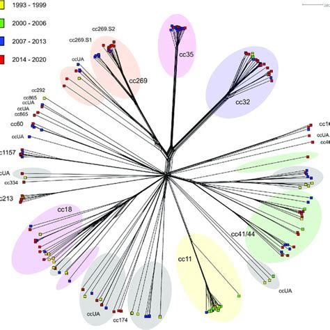 Serum Bactericidal Assay With Human Complement Figure Adapted From Download Scientific Diagram