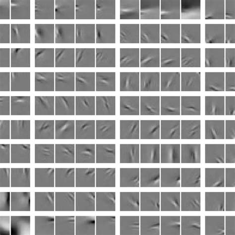 Typical Classical Receptive Fields Of Neurons Early In The Visual Download Scientific Diagram