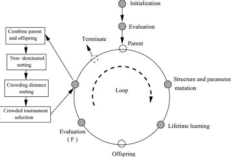 Framework For Evolutionary Multiobjective Optimization Of Neural Download Scientific Diagram