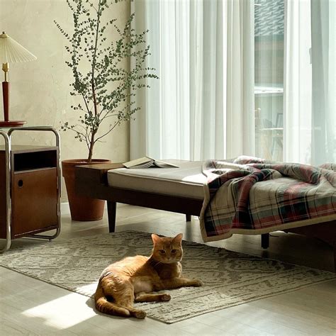 22도씨 우드 • 코티지 인테리어 이제 조금씩 따뜻해져가는 날씨💐 연말 보낸지 얼마 안된 것 같은데 다시 봄이 온다니 정말 기다려지는 것 같아요 따뜻하고 햇빛이 잘