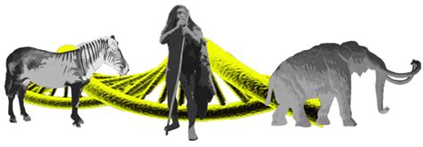 Episode 21 New History Of Ancient DNA Past Time Paleo