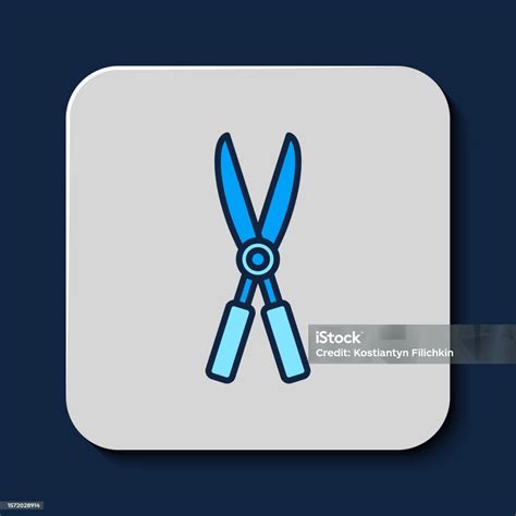 채워진 윤곽선 파란색 배경에 분리된 아이콘을 트리밍하기 위한 정원 가위 원예 나무 손잡이로 가지 치기 가위 벡터 가득 찬에 대한 스톡 벡터 아트 및 기타 이미지 Istock