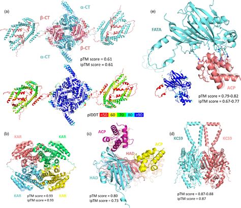 Figure 1 From Protein Interactomes For Plant Lipid Biosynthesis And Their Biotechnological