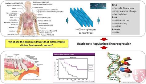 Survival Analysis กับ Censored Data Big Data Institute